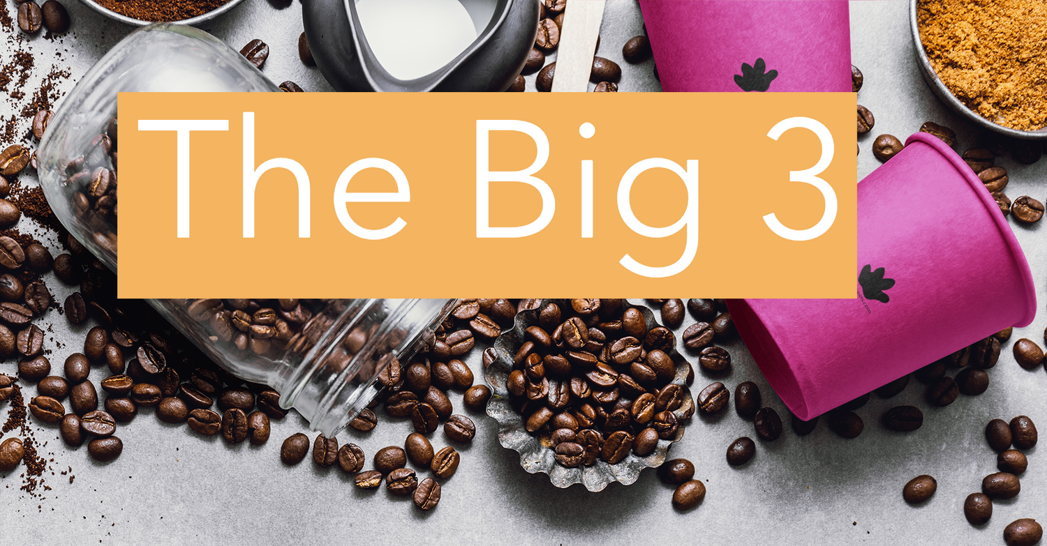 The Big 3: Typica, Bourbon & Caturra – Barista Diva